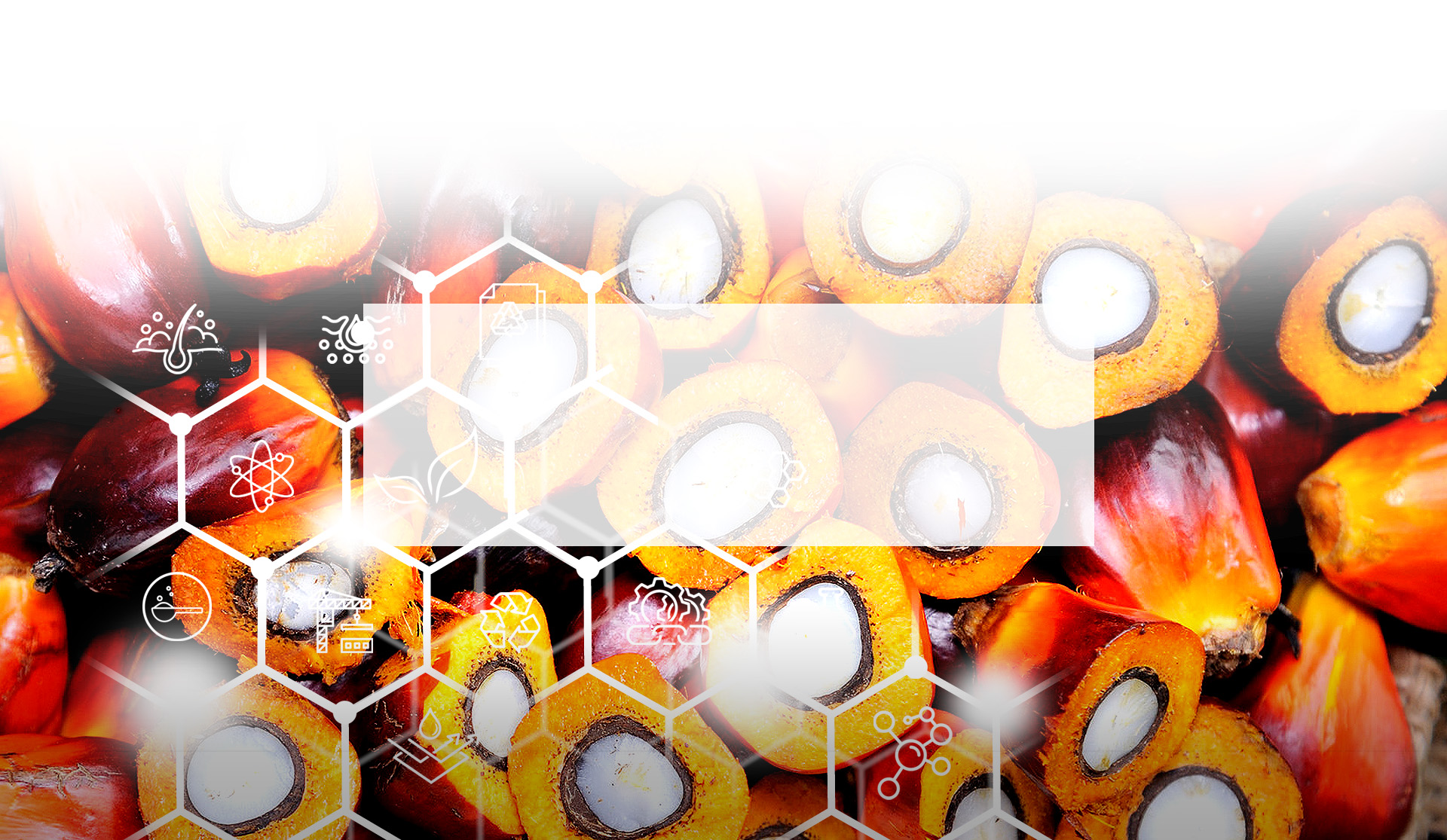 Claris Biochemicals Sdn Bhd - Personal Care, Pharmaceutical, Food ...